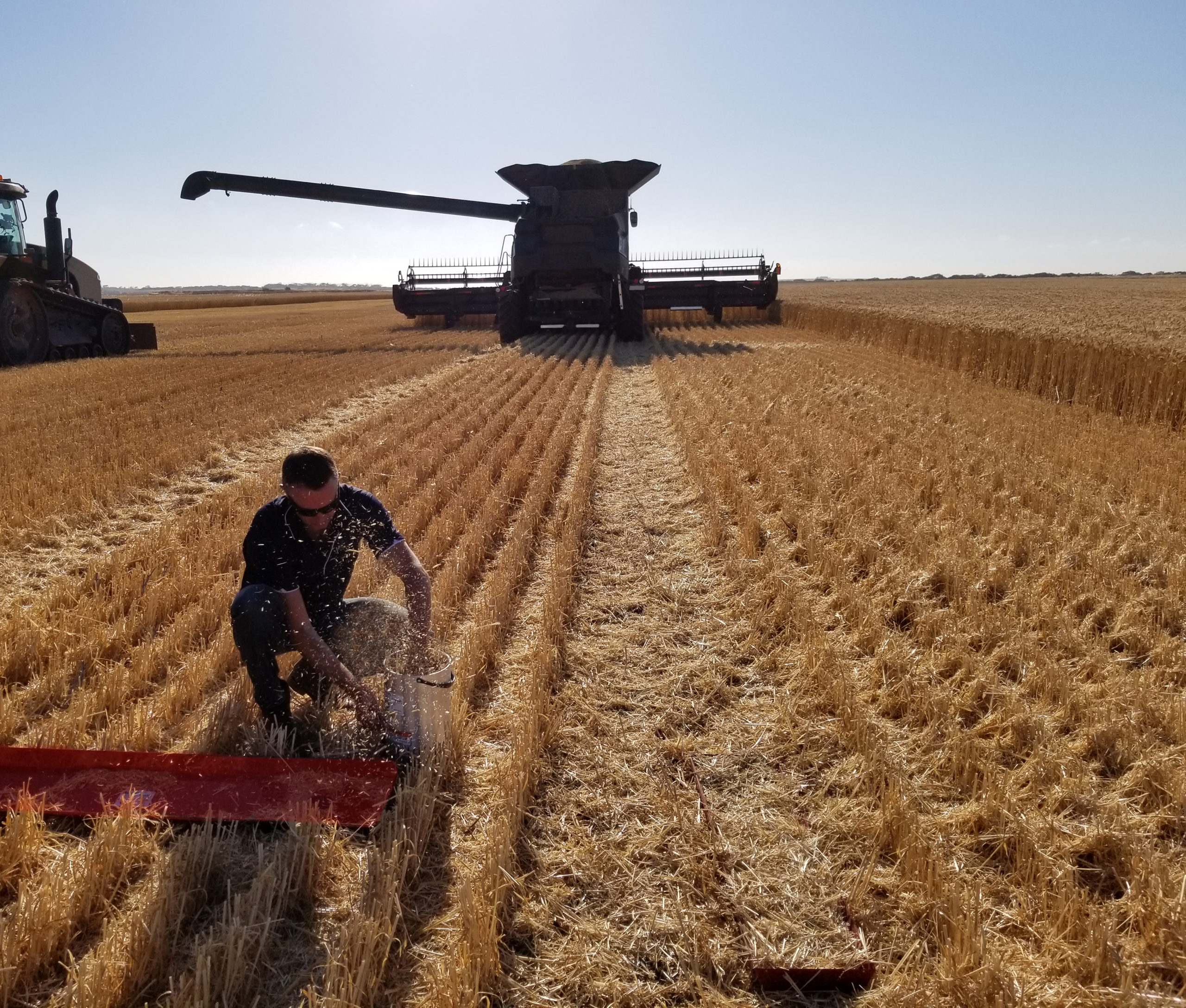 The Tool Every Farm Needs At Harvest: Bushel Plus - African Agri Magazine