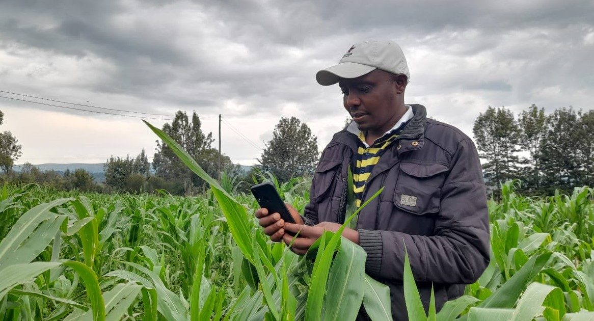 Farmers Embracing Technology To Predict Rainfall - African Agri Magazine