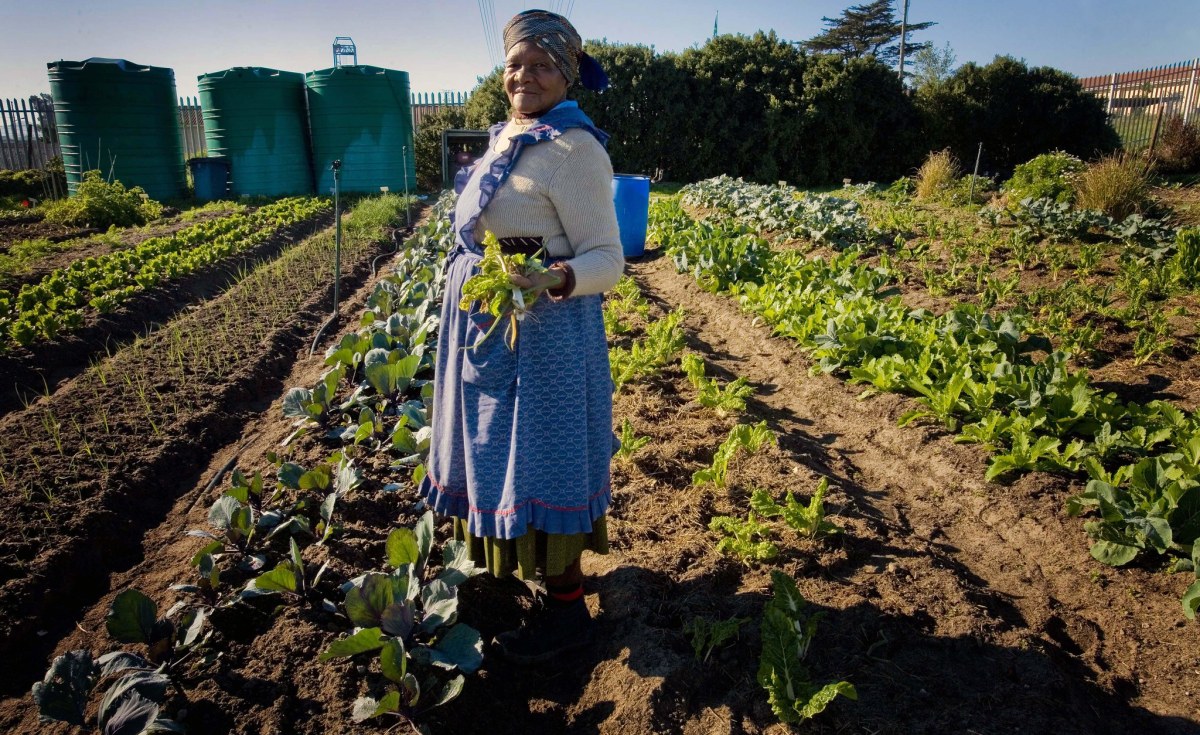 Namibia: Agriculture Remains Engine Behind Economy - African Agri Magazine