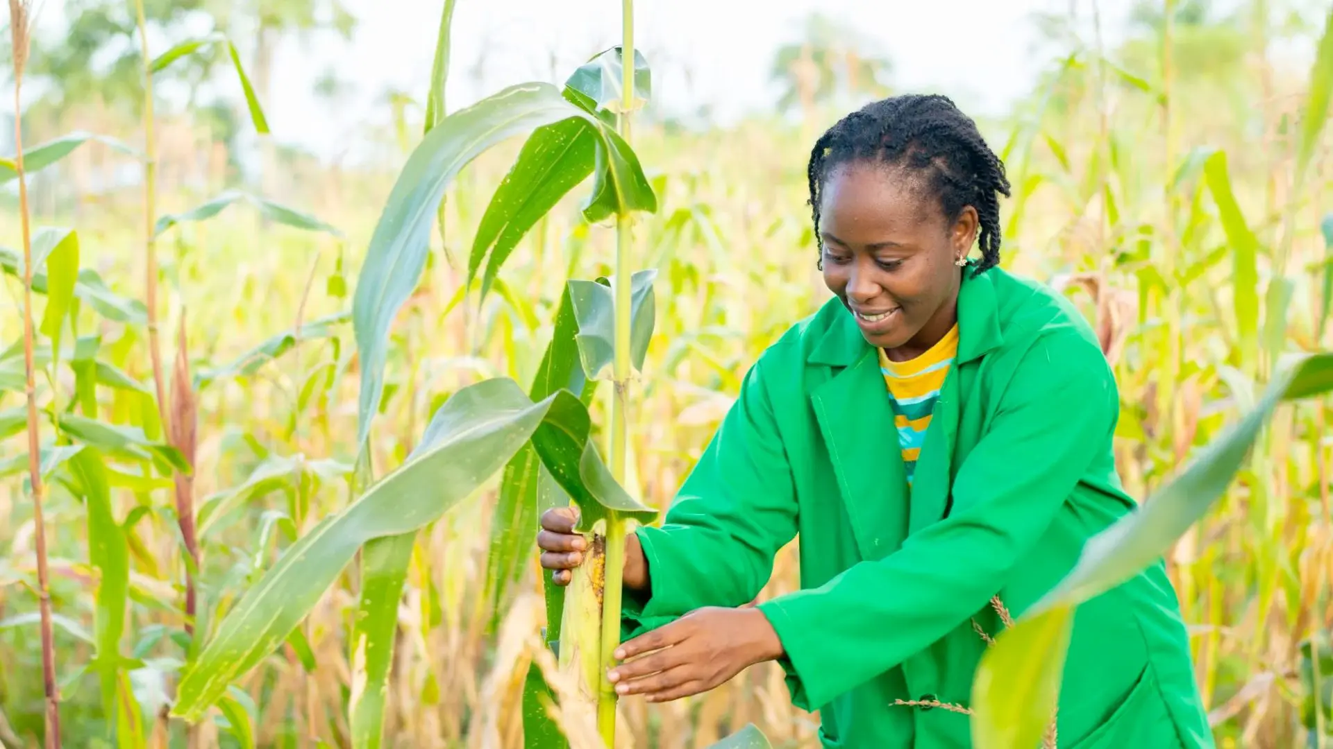 SADFONS initiative boosts Smallholder Farmers’ livelihood - African ...