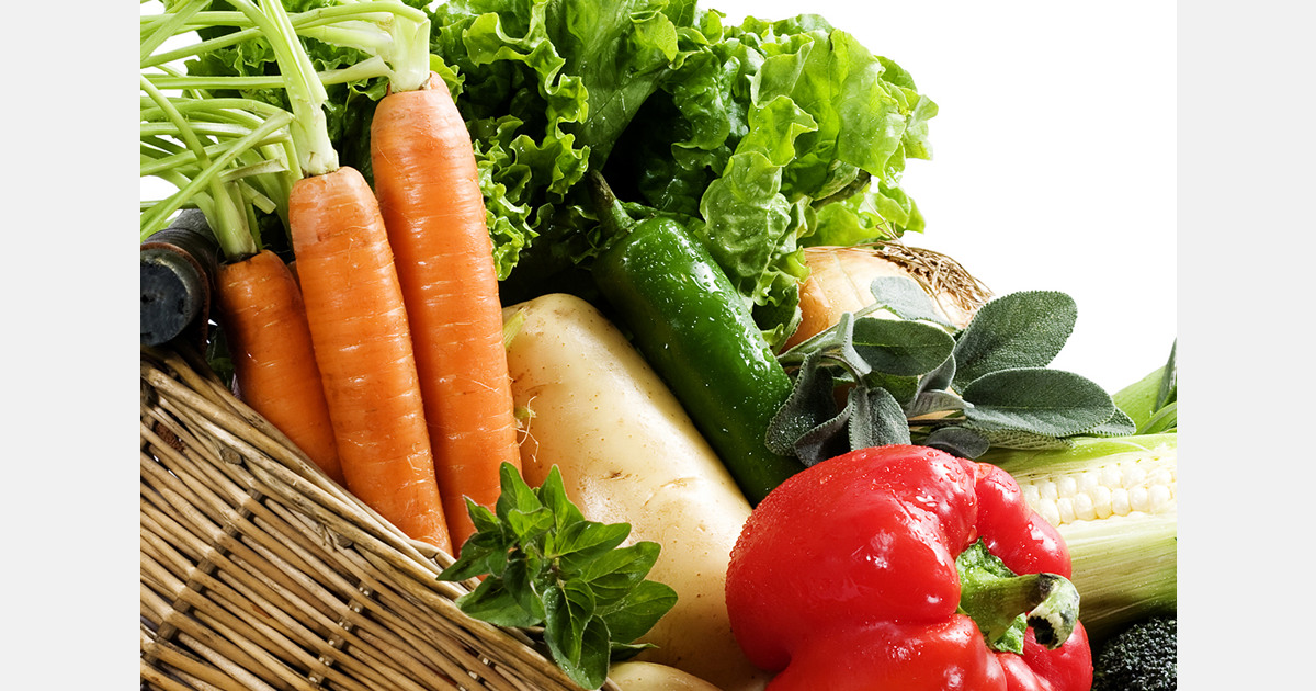 Namibia's Vegetable Import Ban from South Africa Remains in Place — But ...