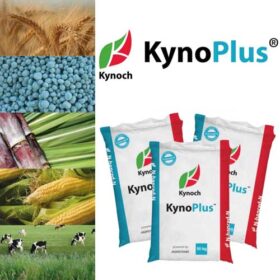 Unlocking Africa’s Agricultural Potential with Kynoch Fertilizer ...