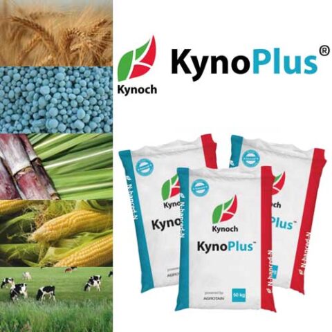 Unlocking Africa’s Agricultural Potential with Kynoch Fertilizer ...